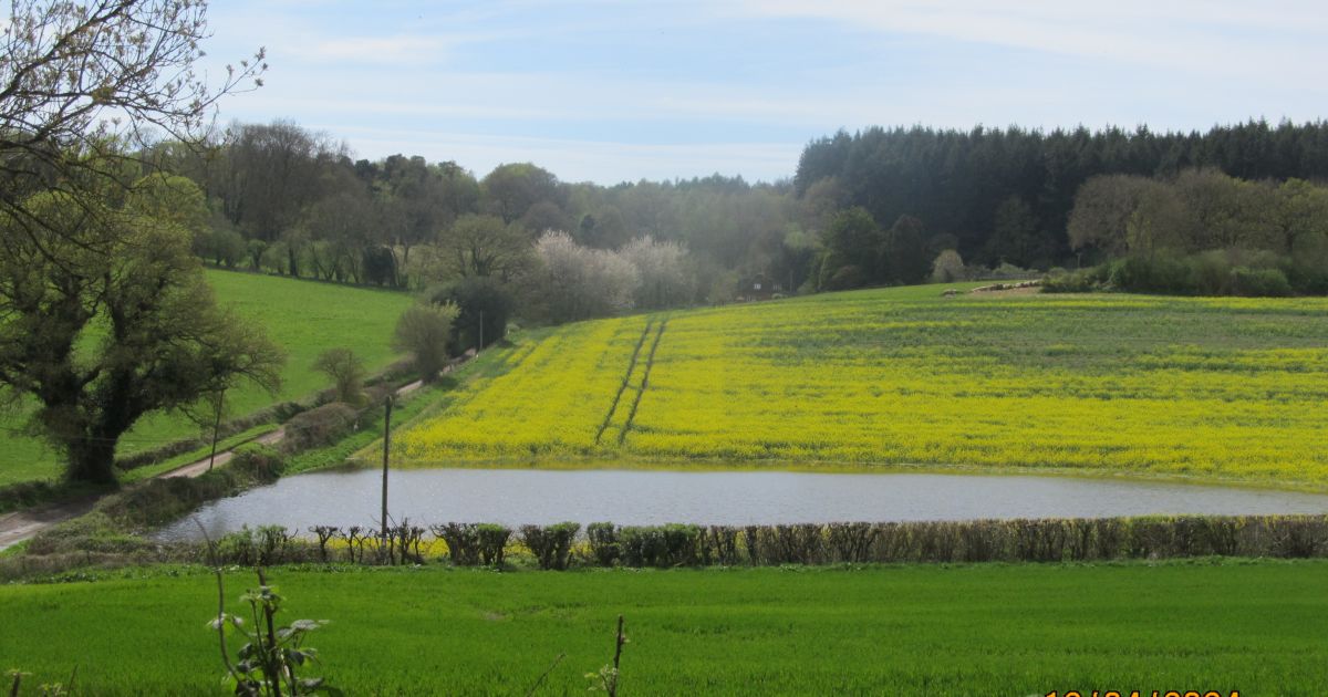 Breamore Rail Path. PART TWO - Ramblers